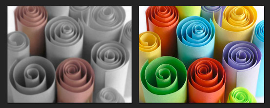 I am very curious what hues you see in the left image? : r/ColorBlind