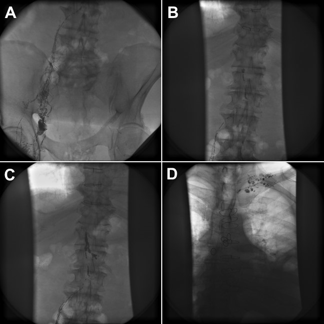 Untitled Document [www.swjpcc.com]
