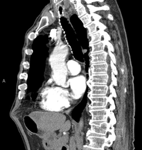 Untitled Document [www.swjpcc.com]